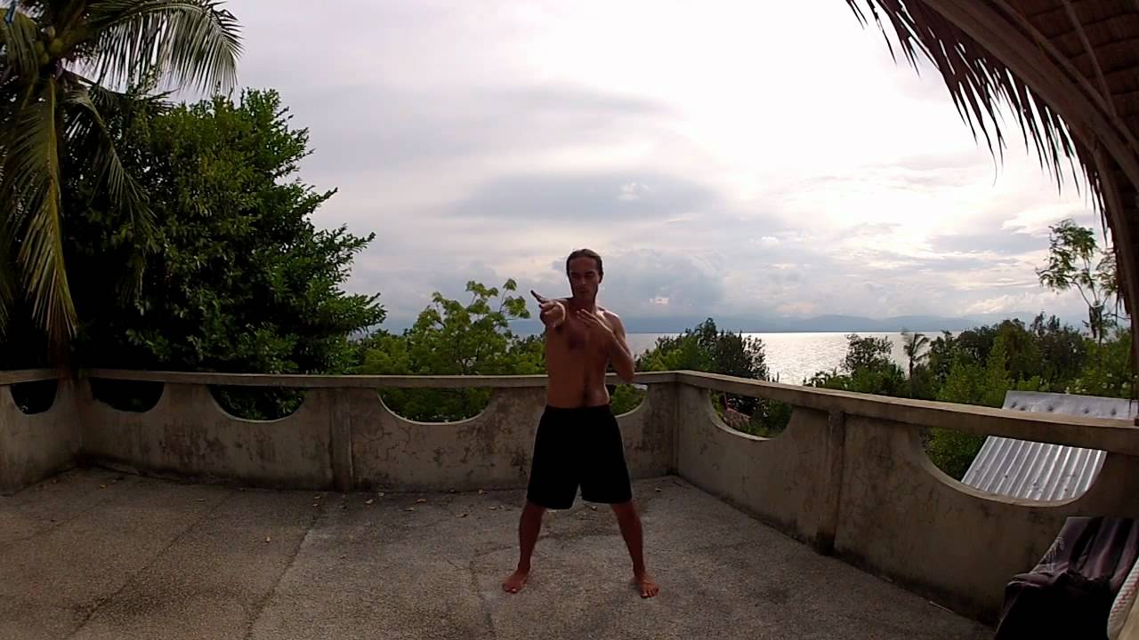 *8 Pieces of Brocade* 2012 Daily Internal Energy Practice QiGong Tai ...