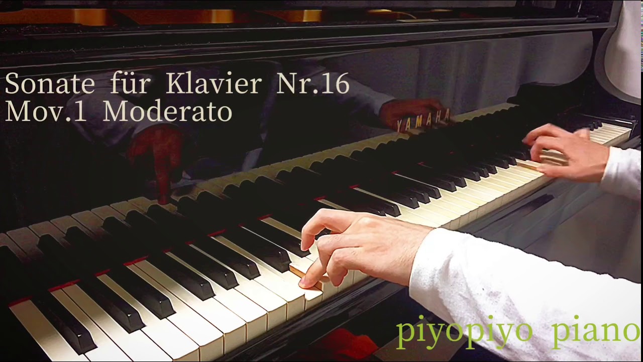 ピアノ・ソナタ第16番D 845 Op.42第1楽章 - YouTube Music