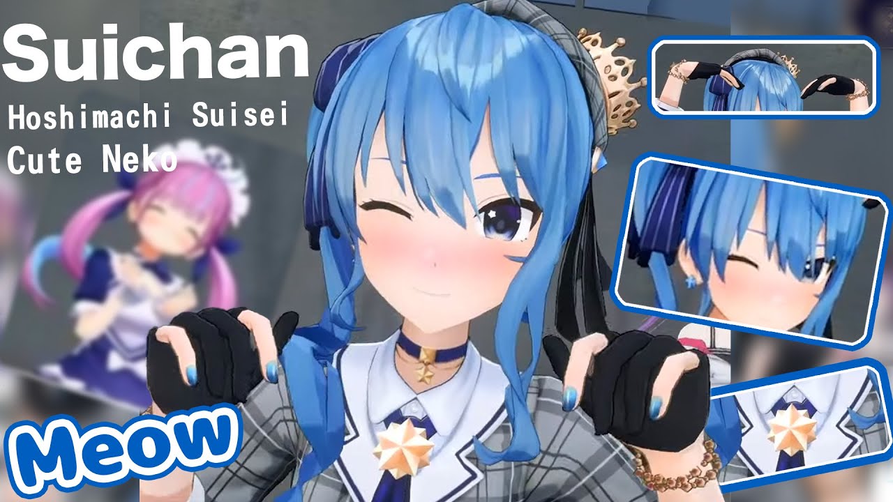 Suisei Cat!!! - YouTube