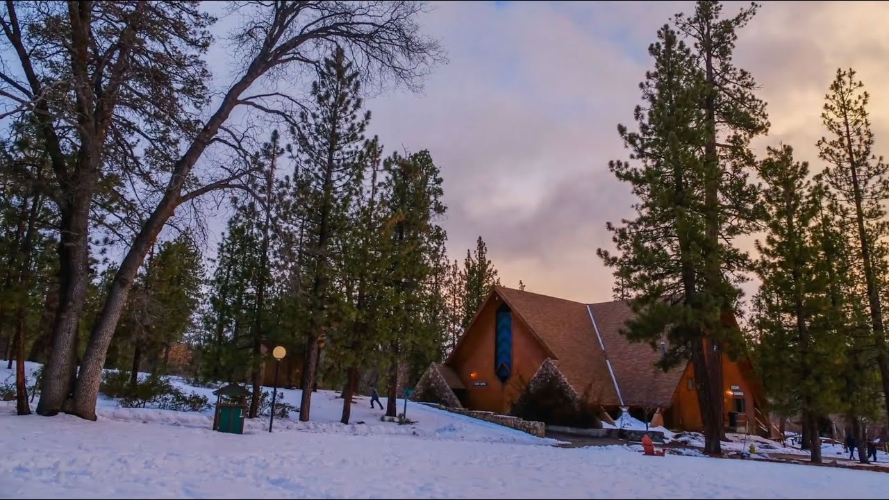 Revival: Winter Edition 2020 | True North - YouTube