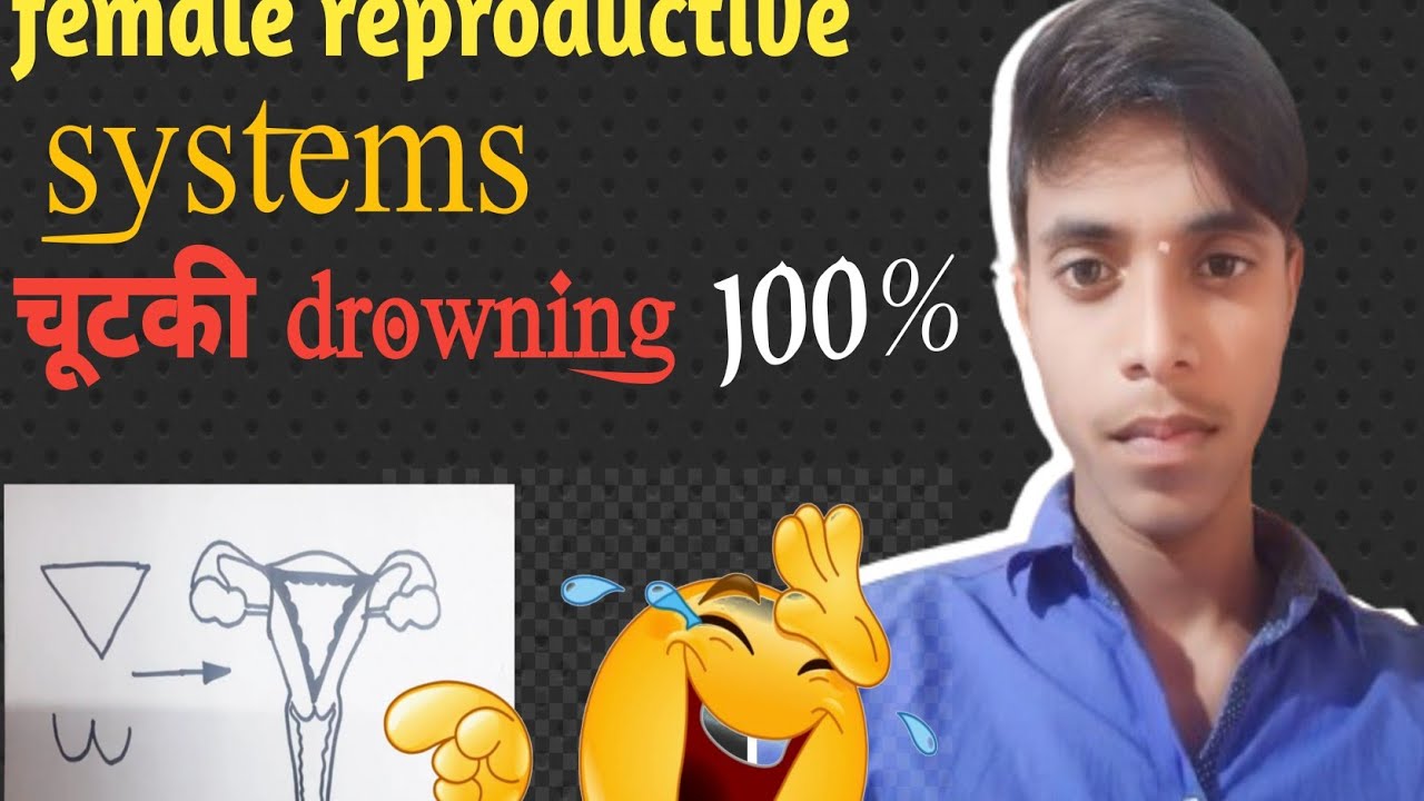 female reproductive system diagram||female reproductive system diagram ...