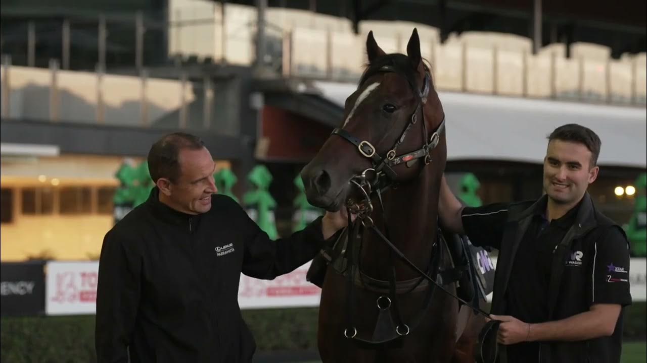 G1 TAB GOLDEN SLIPPER PREVIEW | BLACK BOOKERS - YouTube