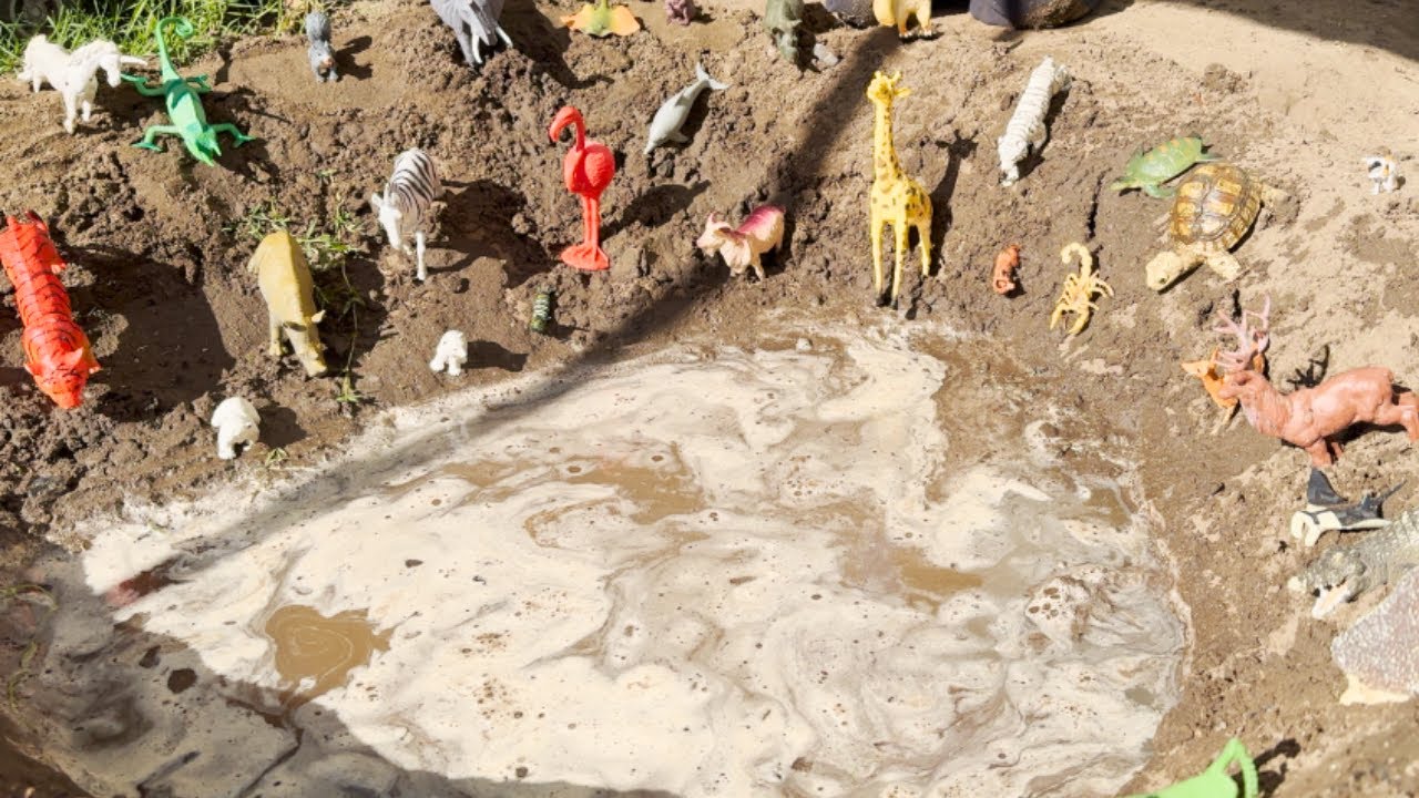 ANIMALS IN MUD HOLE | Giraffe, Tortoise, Flamingo, Tiger, Unicorn ...
