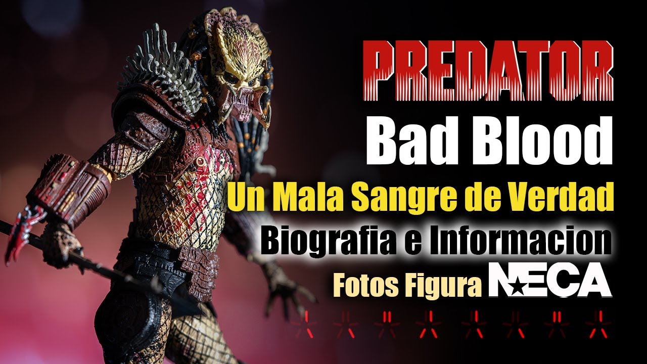 Predator Bad Blood Su futuro en la Franquicia - Biografia & Info - YouTube