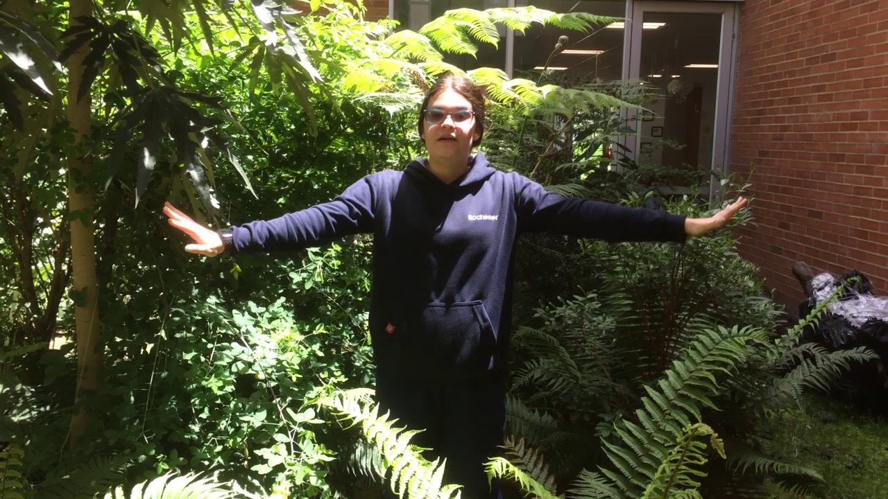 WINNER OF EF CHALLENGE 2017 - YouTube