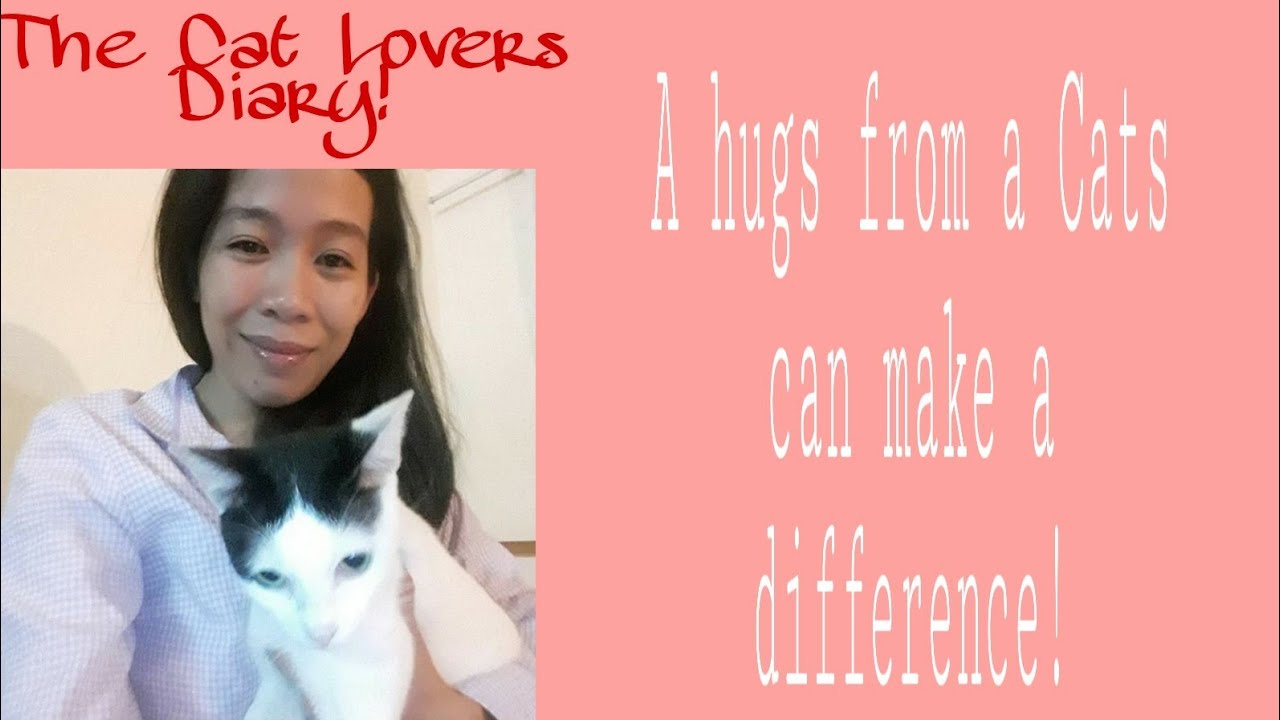 HUGS MATTER || NO CATS NO LIFE| EMOTIONAL SUPPORT. - YouTube