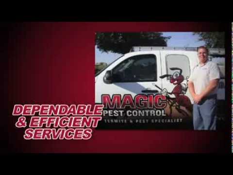 Mesa Pest Control | Pest Control | Magic Pest Control Call 480-654-5888 ...