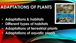 adaptations of terrestrial plants