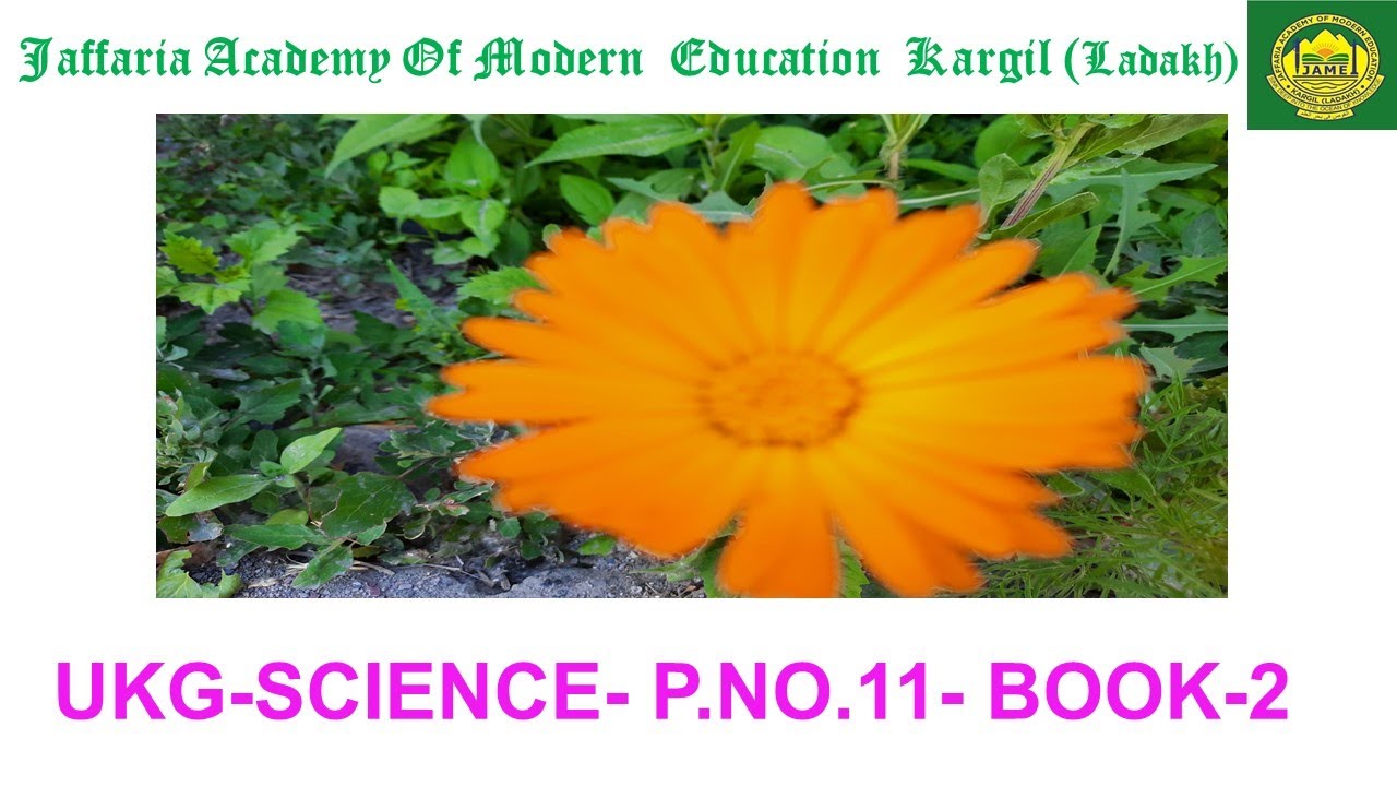 LKG Science p no 11Book 2 - YouTube