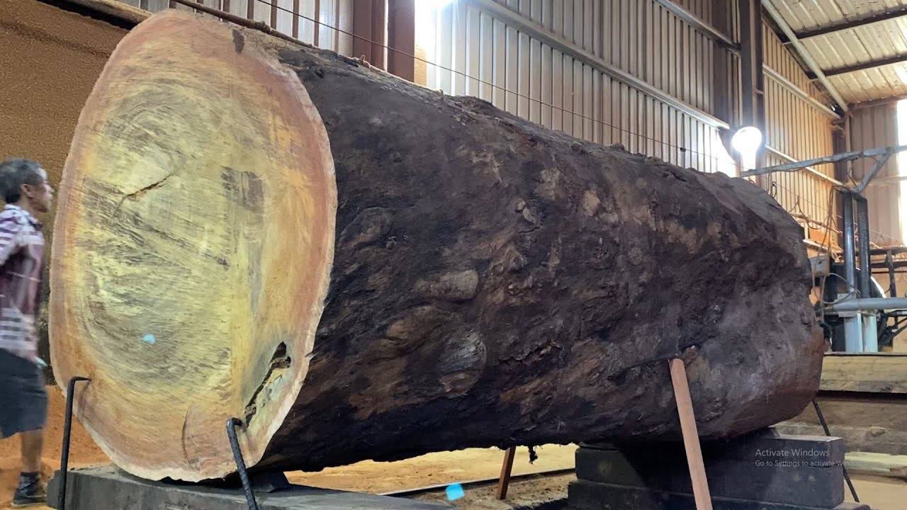 Dangerous Sawmill Wood - Big Lumber Project With Sawmill Cutting ...