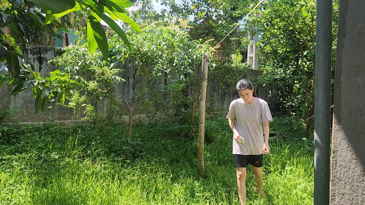 ANH TOÀN ĐI THI HƯƠNG THAY CHỨC ĐẦU BẾP ,MẸ CON ĂN CHÈ THAY CƠM - YouTube