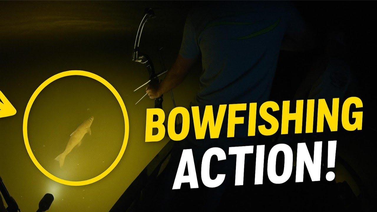 We Tried Bowfishing at Night for the First Time… CRAZY Results! - YouTube