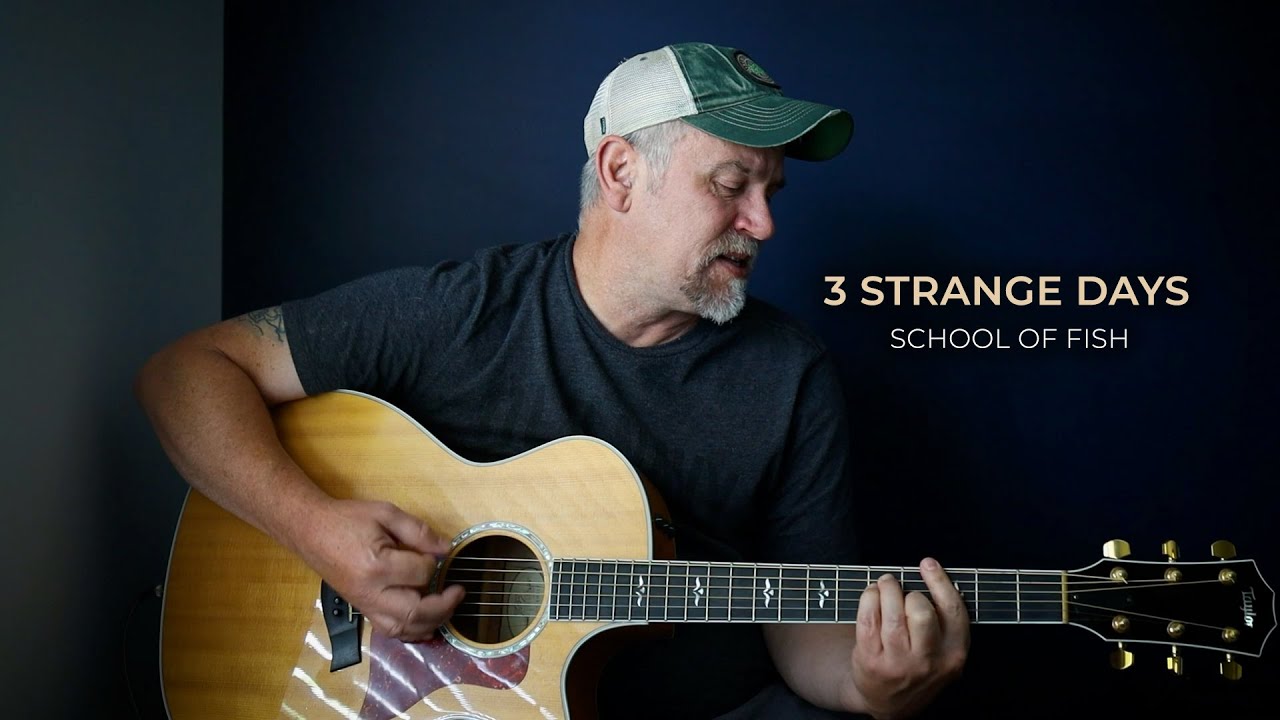 School of Fish - 3 Strange Days (acoustic cover) #acousticcover # ...
