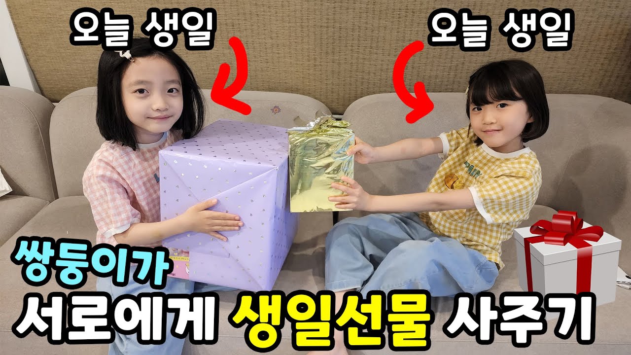 쌍둥이가 생일이여서 서로에게 생일선물을 사줬어요 서로가 갖고 싶은걸 샀을까요 Youtube