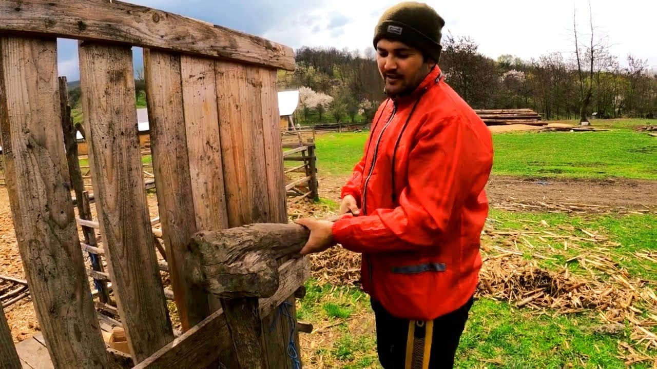 AM PREGĂTIT STRUNGA PENTRU MULSUL OILOR! - YouTube