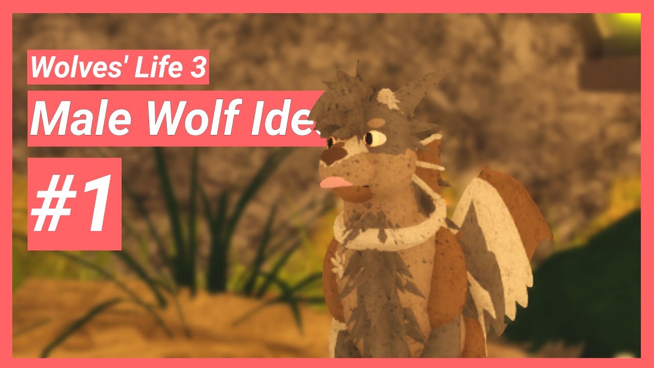 Roblox | Wolves' Life 3 | Male Wolf Ideas #1 - YouTube