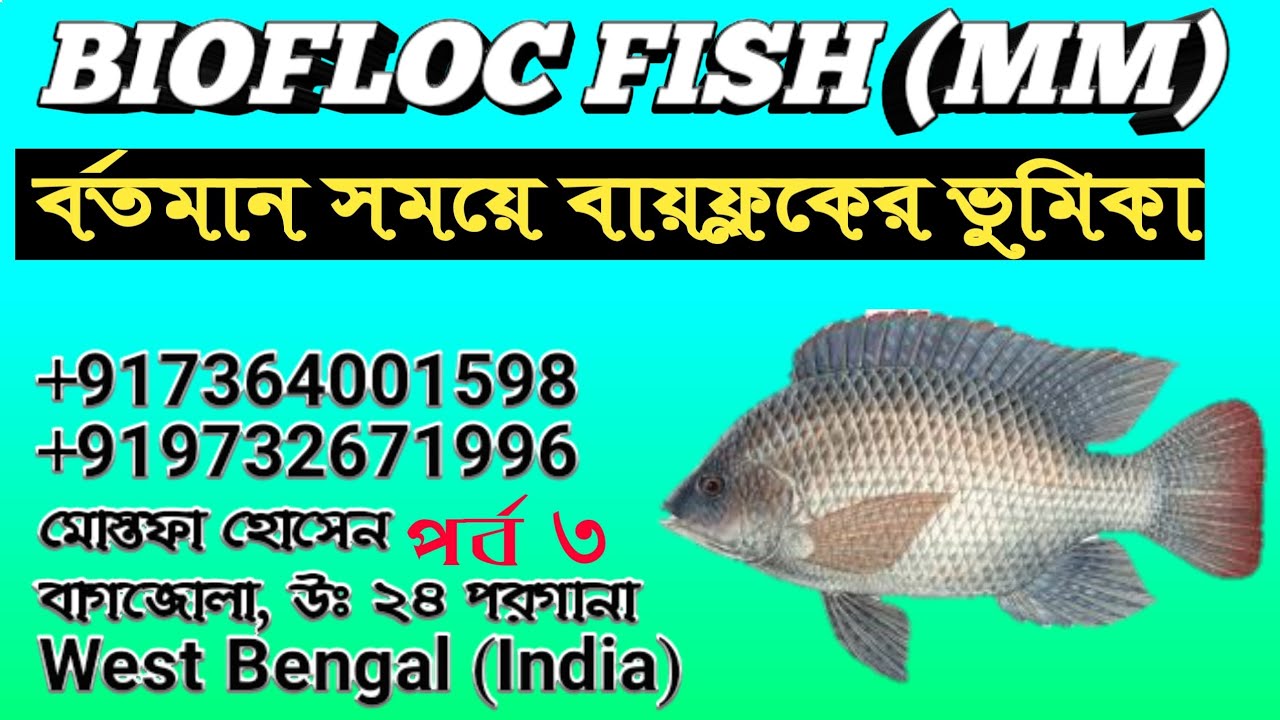 বর্তমান সময়ে বায়ফ্লকের ভুমিকা/The role of bioflakes at present ...