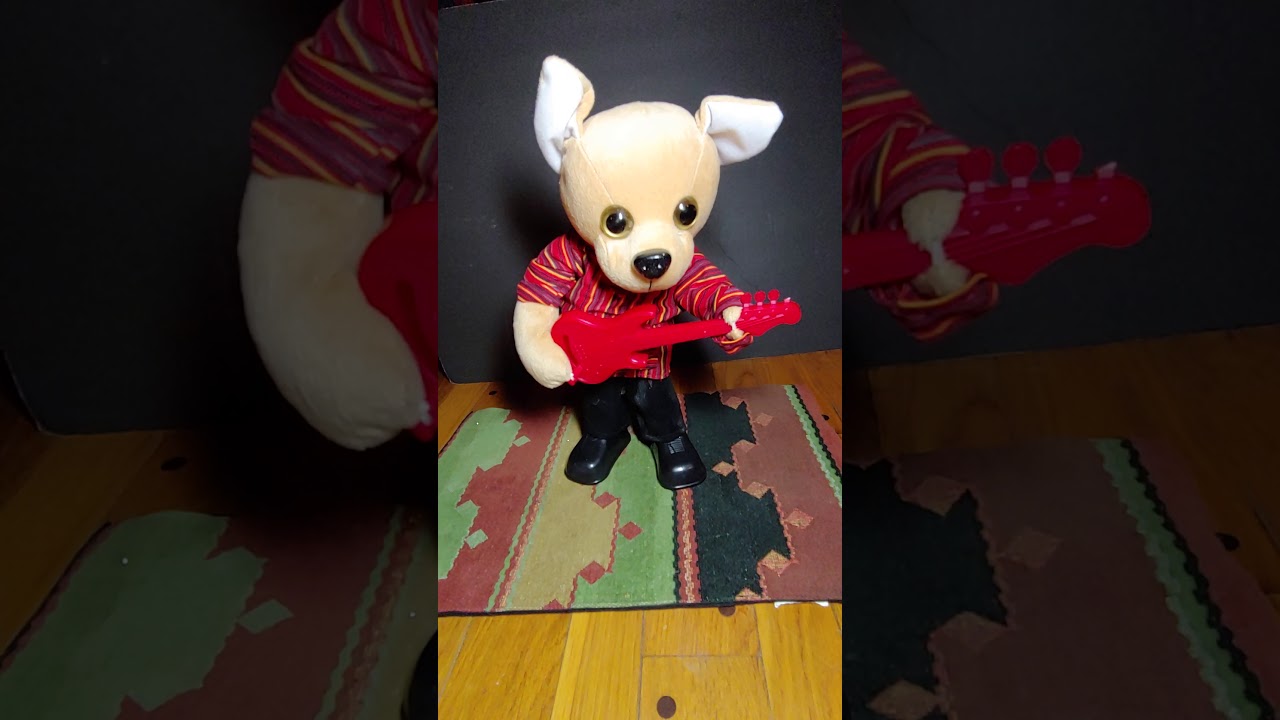 Animated Chantilly Lane 16” Chihuahua w red Guitar Sings La Bamba ...