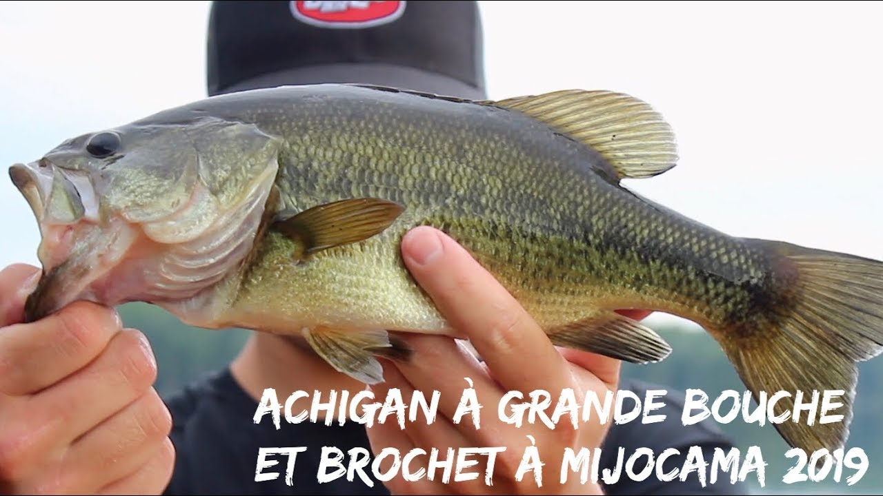 Achigan à grande bouche et brochet à Mijocama 2019 - Sixième Sens - YouTube