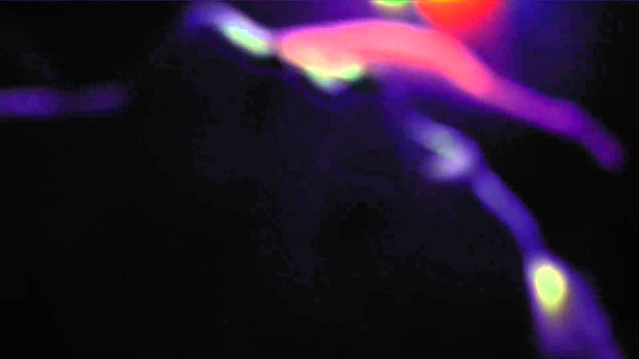 Sickids - Everything Ends - October 1st 2010 (The Music of 3KB) - YouTube