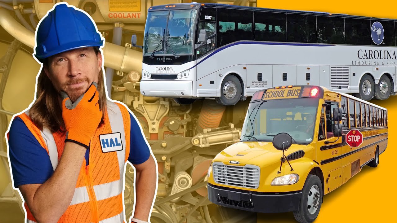 🚍 Buses for Kids | Learn about the Bus 🦺 Handyman Explores the School ...