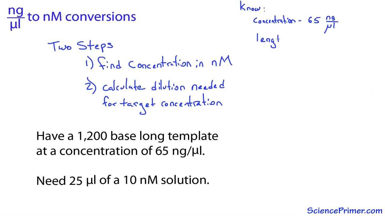Nanogram Per Microliter To Nanomolar Conversion YouTube