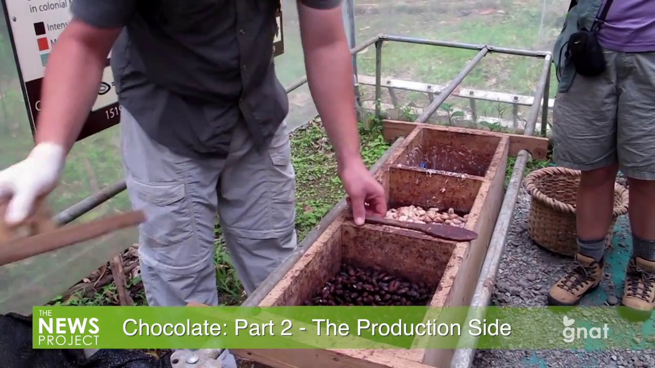 The News Project - Chocolate: Part 2 - The Production Side - YouTube