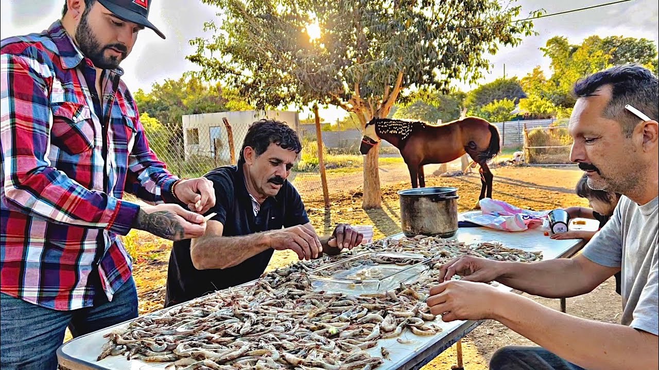 TARDEADA de CAMARONIZA en el Rancho con mi Apa MIGUEL MONTOYA 🤠🎥🎸🍀 ...