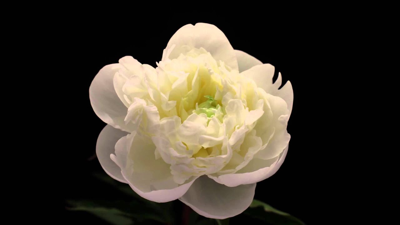 Joon Moon - Apple Day (Teaser 2) - YouTube