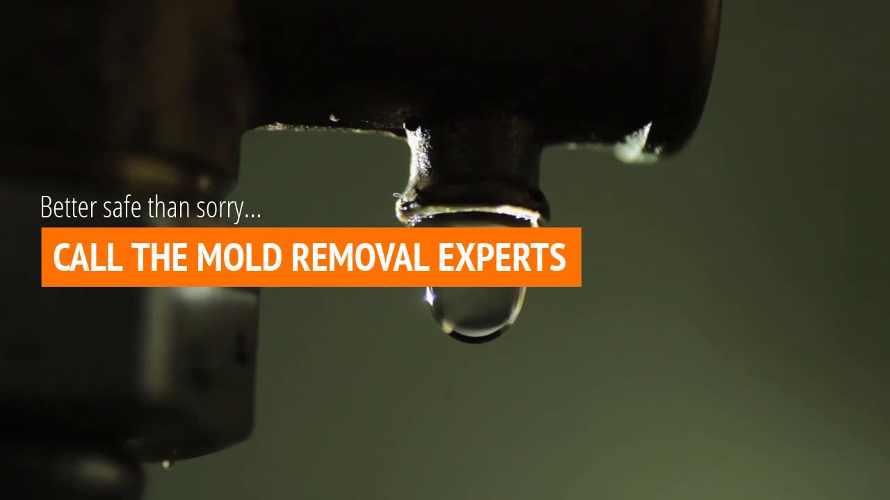 SERVPRO of West Covina free mold inspection - YouTube