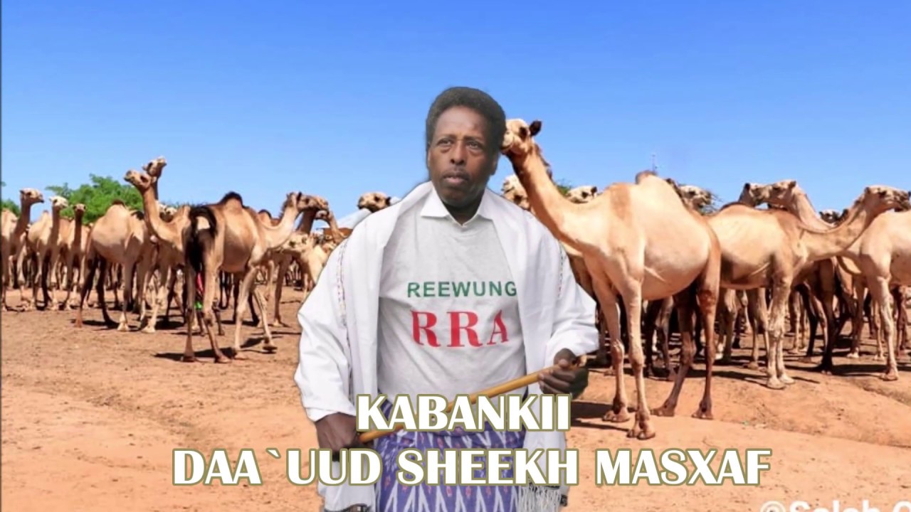 HEES MAAY HALLII GAAFANAAYTI HORTY LIISLY LAHAAYI HISQINTII LY MAALOOBY ...