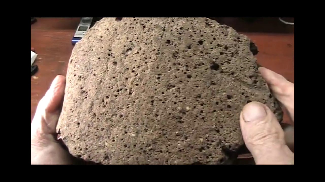 Mudfossil University Bull S#it or Fact Part Two " Roger Spurr and his ...