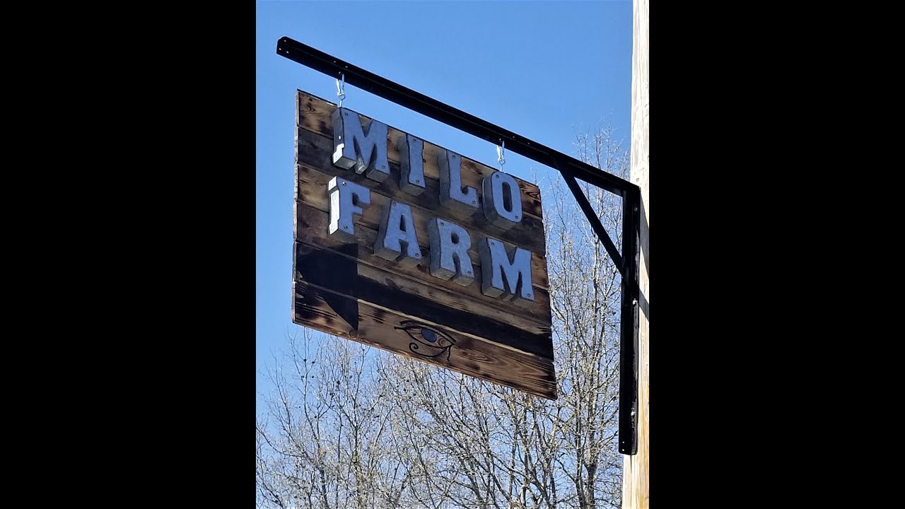 Milo Farm - Sacred Land Overview 2020 - YouTube