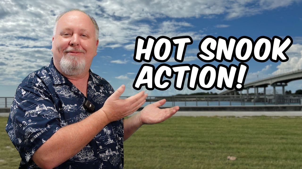 The Ultimate Snook Showdown at Sebastian Inlet - YouTube