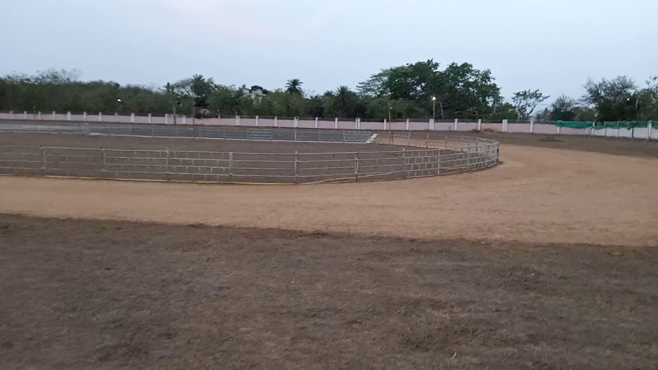 Army Rally Rangeilunda ground Live - YouTube