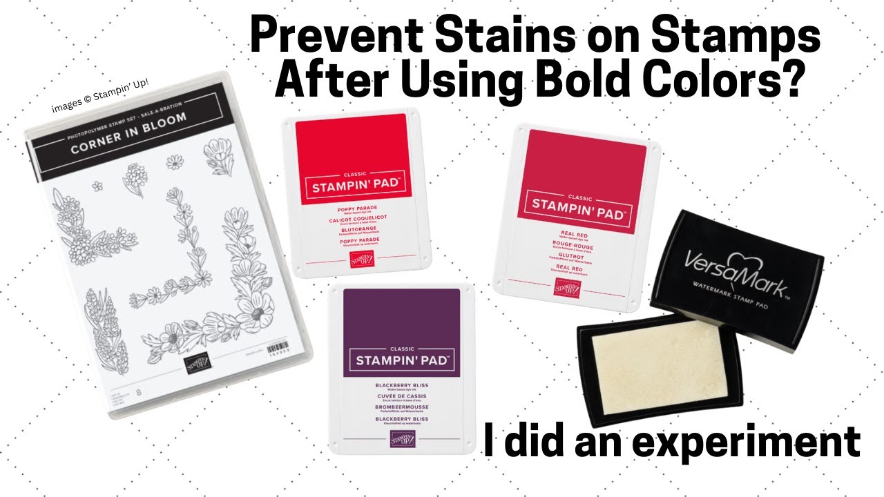 Prevent Stains on Stamps- A Photopolymer Stamps & Bold Inks Experiment ...