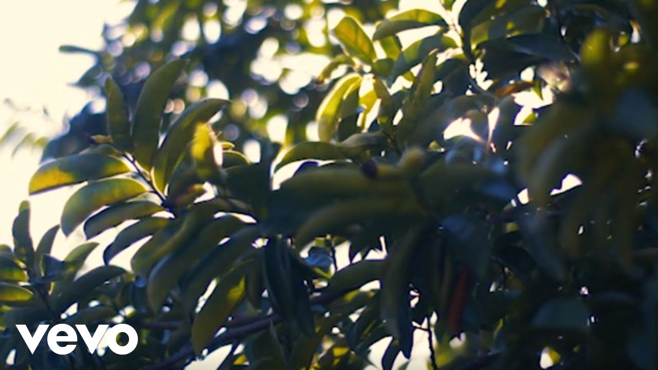 Tydal - Struggles (Official Music Video) - YouTube