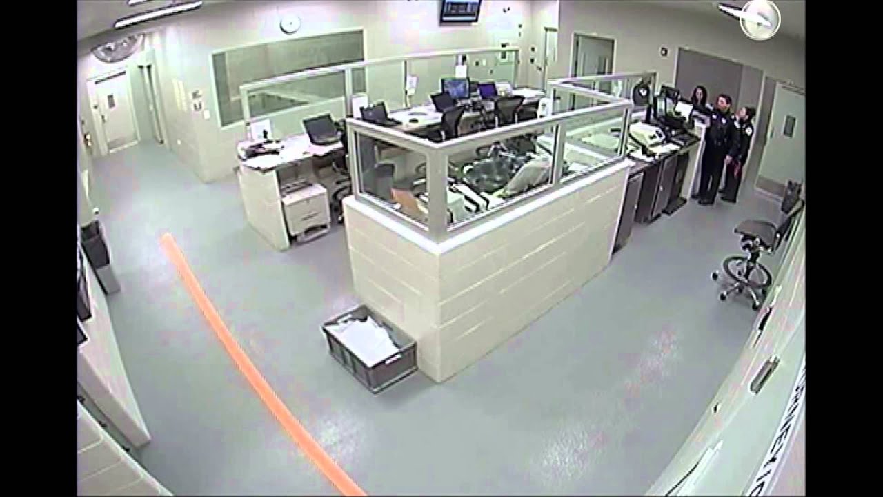 Illinois Police Toss Cassandra Feuerstein Face First Into Concrete Cell ...