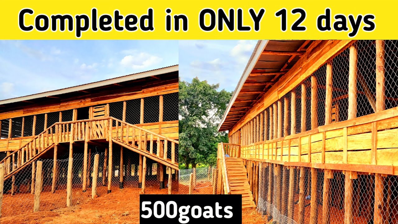 How to construct a standard raised structure(500goats structure) - YouTube