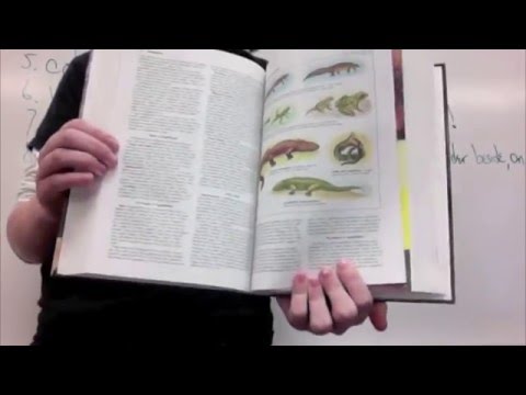 How to use an Encyclopedia - YouTube
