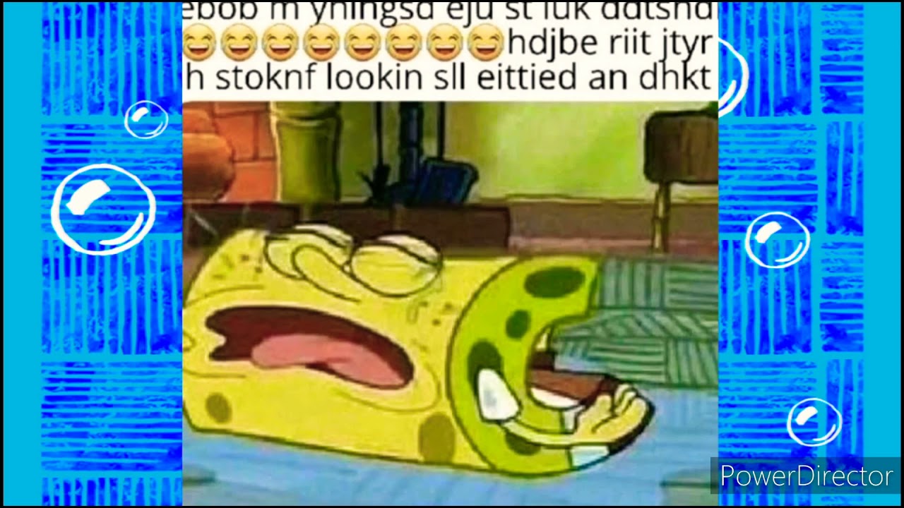 ebob m ynigsu eju st iuk datsna😂😂😂😂😂😂😂😂hdjbe rit jtyr h stoknf lookin ...