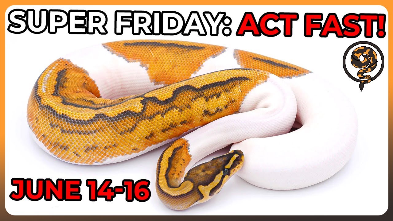 SUPER FRIDAY - ACT QUICK!: Weekend Deals (June 14-16) - YouTube