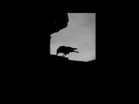 Yavor Namliev - Oh Death