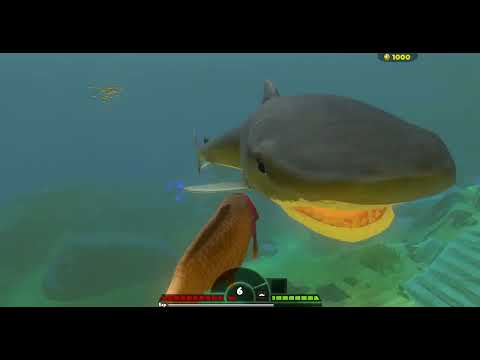 WHAT!? CARP IN OCEAN !!! Feed and grow fish - YouTube