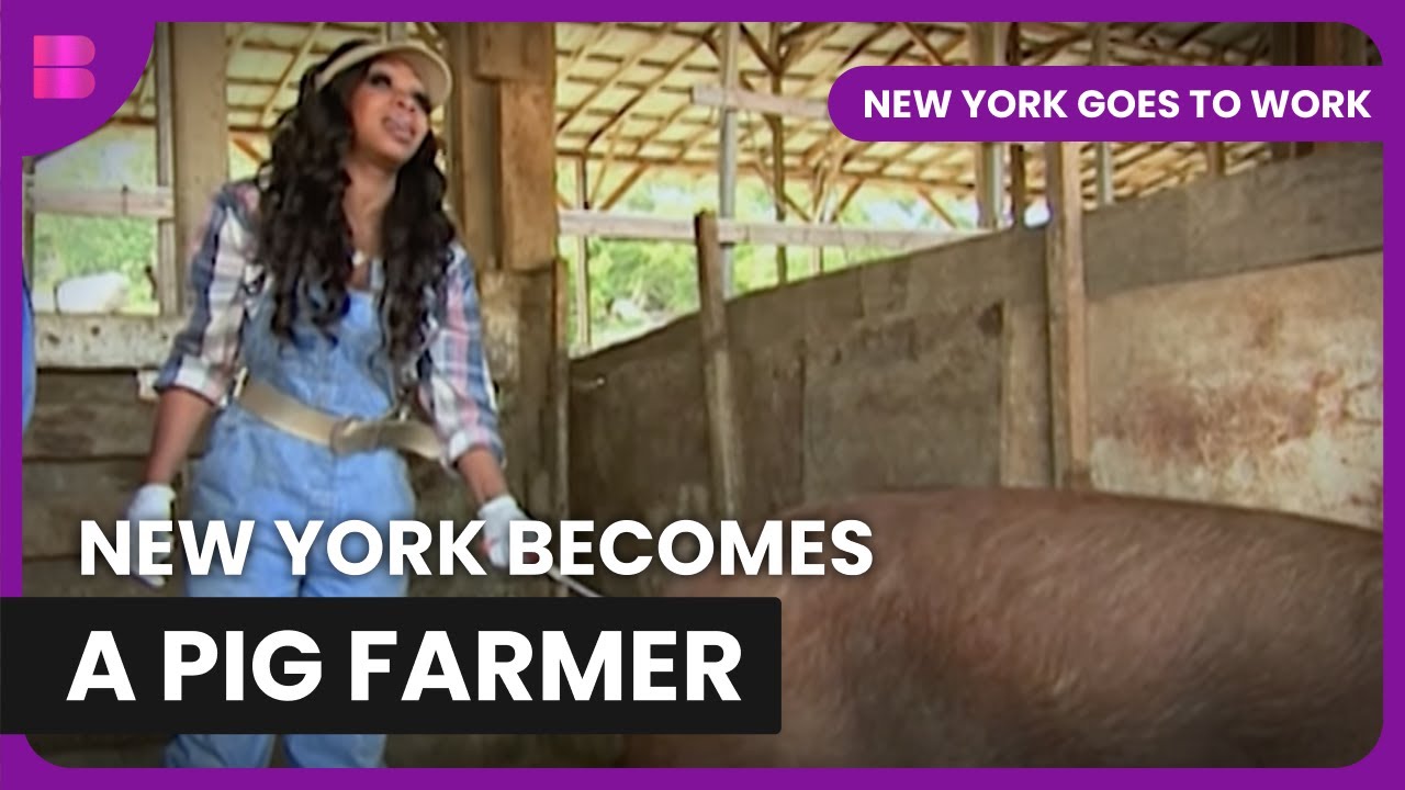 New York's Day as a Pig Farmer! - New York Goes To Work - S01 EP02 ...
