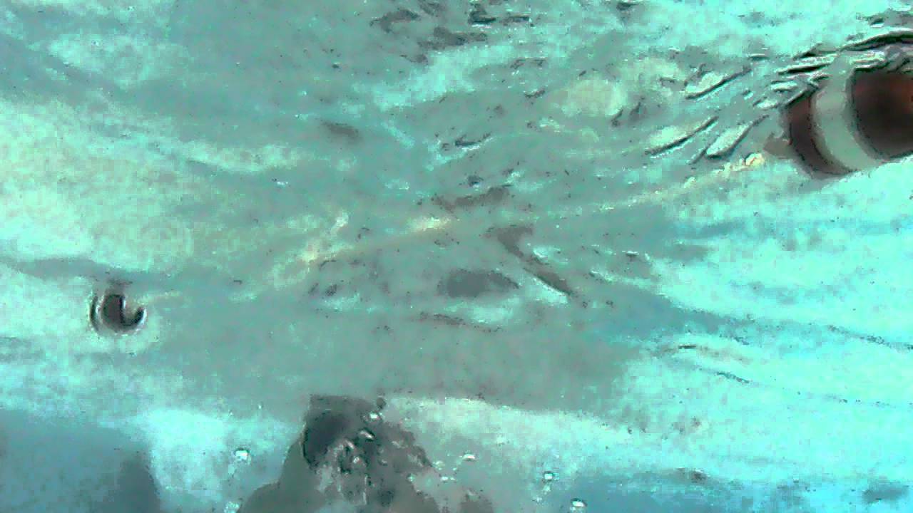 Winnie Fly - YouTube