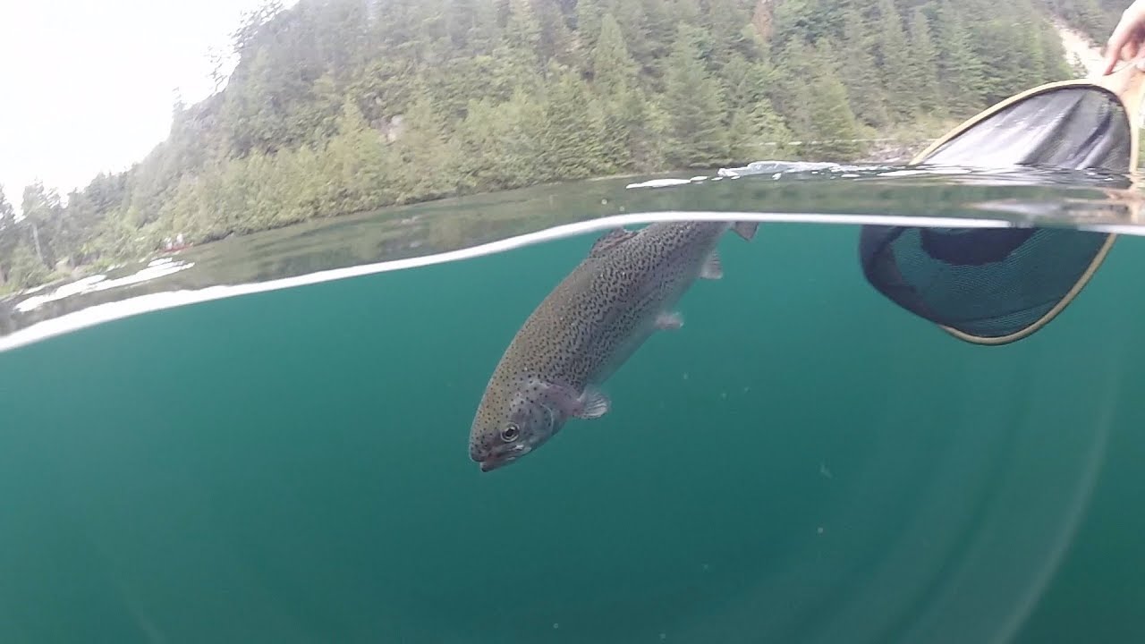 Fishing BLUE lake water for Rainbows - YouTube