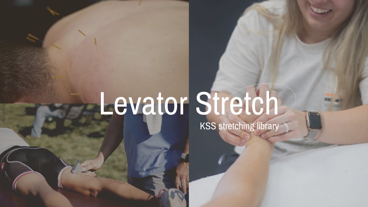 KSS Stretching Library: Levator Stretch - YouTube