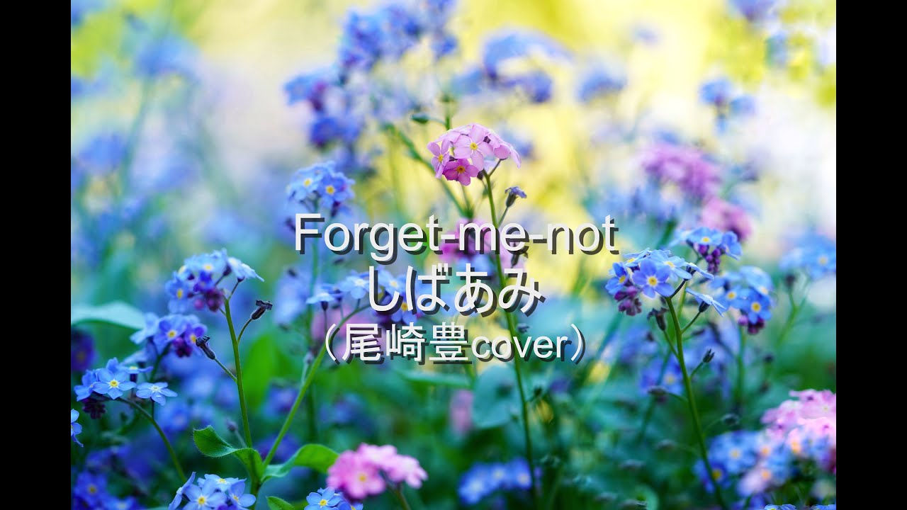Forget-me-not 尾崎豊cover - Piano edition - - YouTube