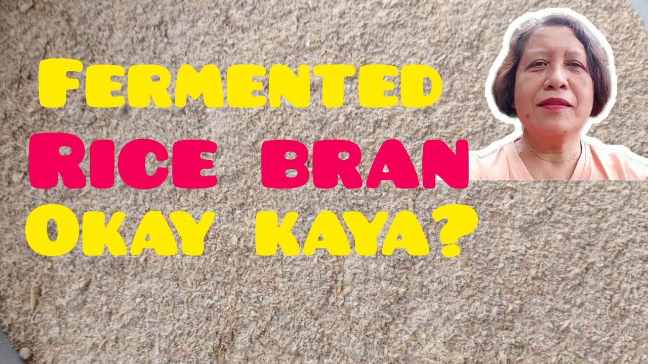 FERMENTED RICE BRAN/FEED INTAKE OF 100 6LAYERS/21 WEEKS LAYER LUGI NA ...